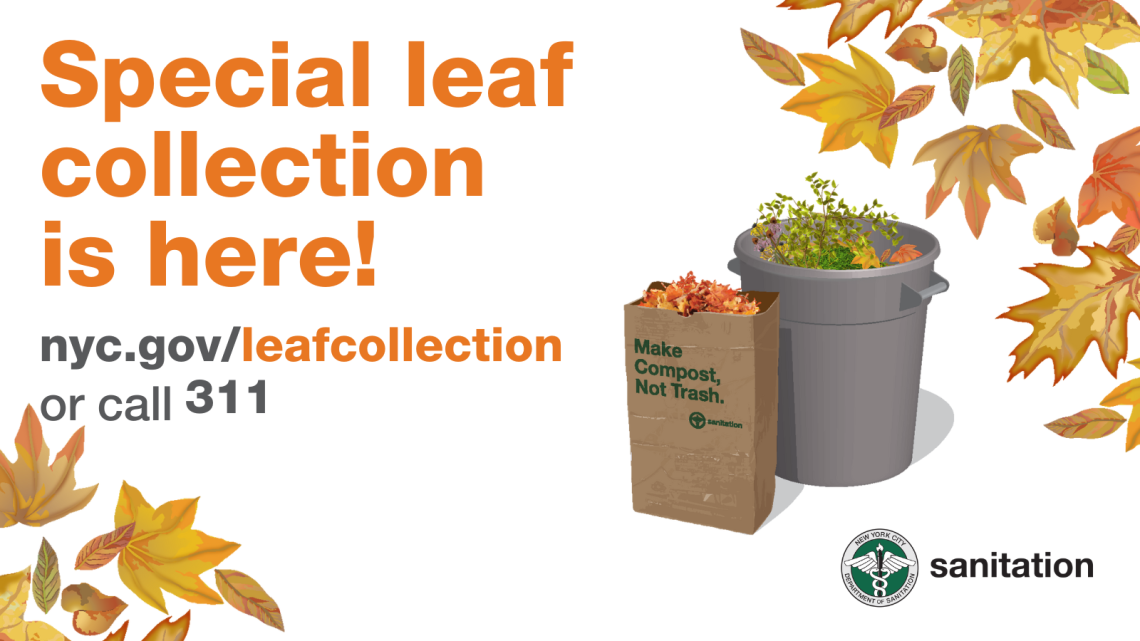 Holiday Season, Reflections on Kindness & Solidarity, Resources & More.